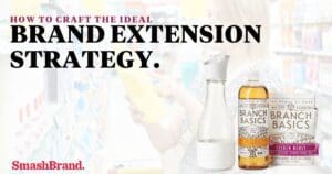 How To Craft the Ideal Brand Extension Strategy.
