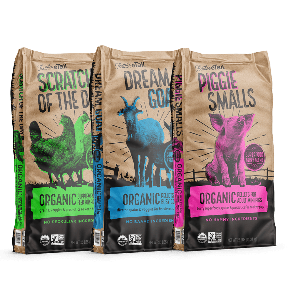 Feather & Tail Packaging Design Case Study | SmashBrand